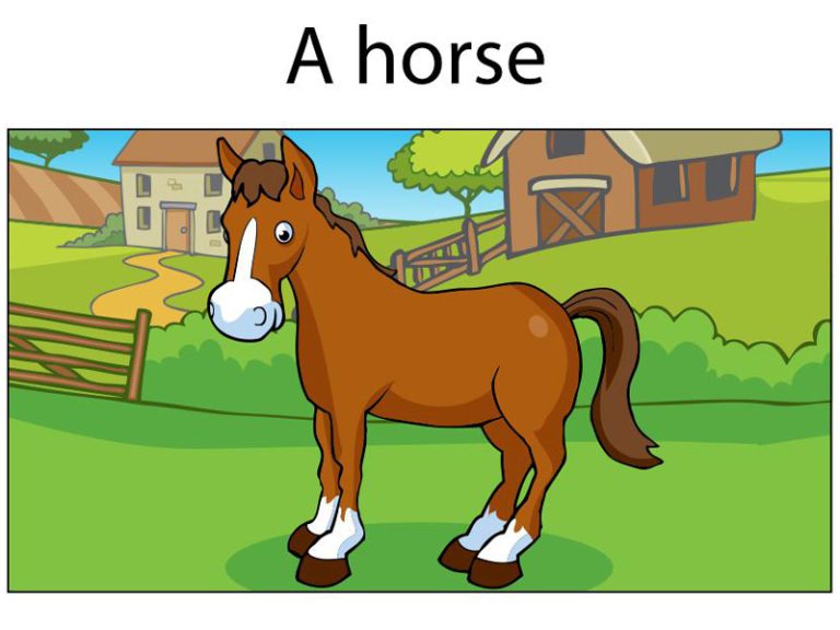 (Answer + Transcript) ĐỀ THI PRE A1 STARTERS: Sample Paper 2018 - V2